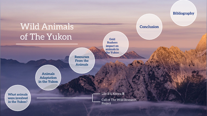 Wild animals of the Yukon by kenna blank on Prezi