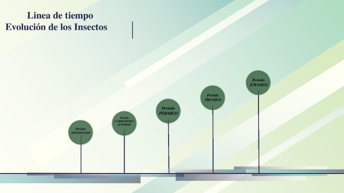 linea de tiempo de los insectos by omar borbon on Prezi