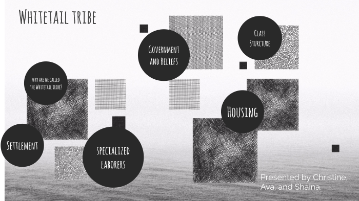 white tail tribe by Shaina Epstein on Prezi