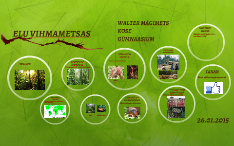 ELU VIHMAMETSAS by Walter M. on Prezi