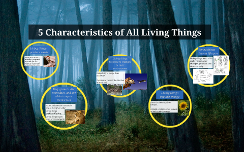 5 Characteristics of All Living Things by Allison MacKenzie on Prezi