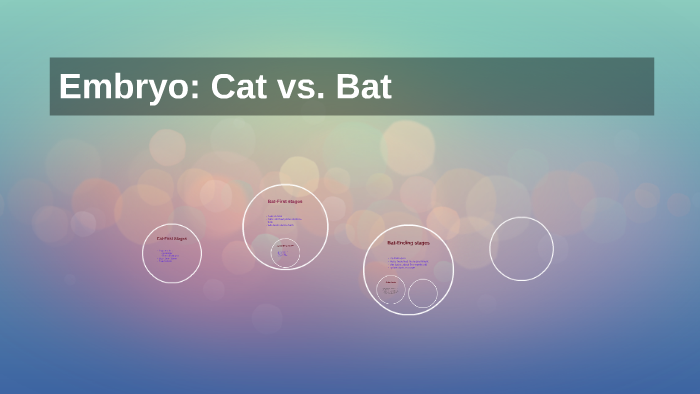 Embryo: Cat vs. Bat by Zoe Dunekack on Prezi