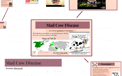 Mad Cow Disease by Brandon B on Prezi