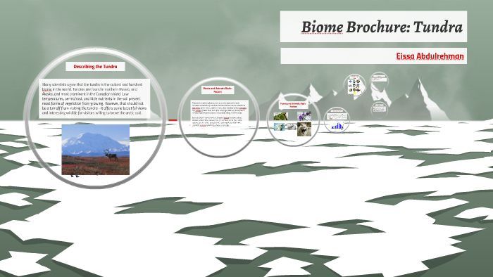 Biome Brochure: Tundra by Eissa Abdulrehman on Prezi