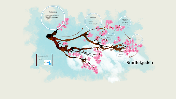 Smittekjeden by Ingvild Aske on Prezi