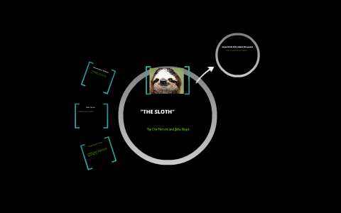 The Sloth Poem by Chris Herrera on Prezi