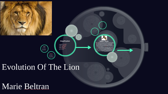 Evolution Of The Lion by Breezy Mccann on Prezi