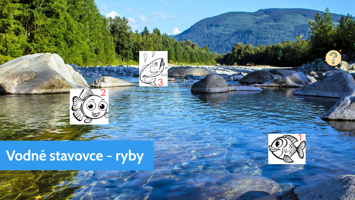 Vodné stavovce - ryby by Gabi Šiplák on Prezi