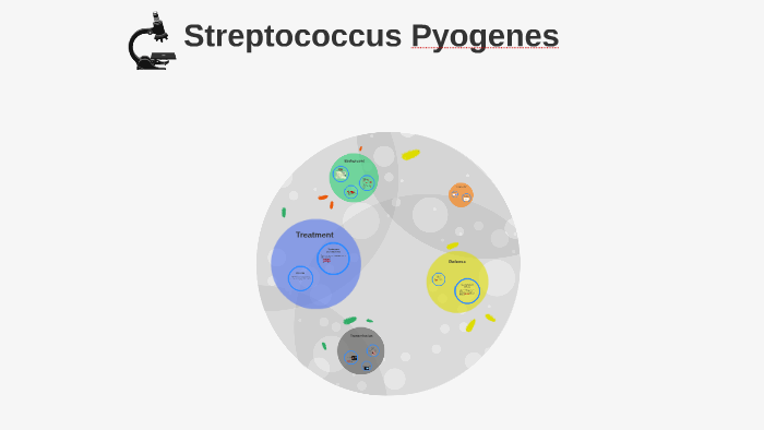 Streptococcus Pyrogenes by Sophie Ebbinghouse on Prezi