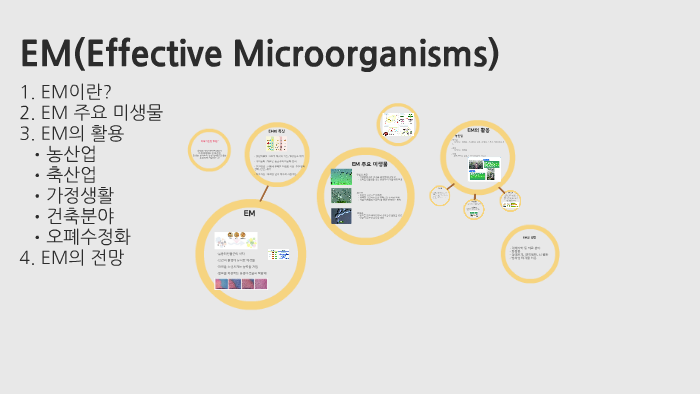 EM(Effective Microorganisms) - 20333 황대영 by 대영 황 on Prezi