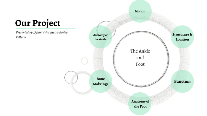 Ankle and Foot Project by Dylan Velasquez on Prezi