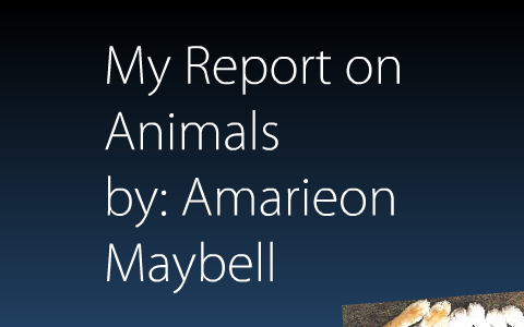 Maybell: Animal Report by Dan Fontanez on Prezi