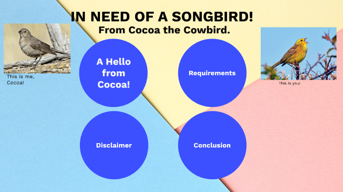 Symbiotic Relationship Project by Riley Benson on Prezi