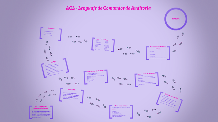 ACL - Lenguaje de Comandos de Auditoría by Brian Weisinger on Prezi