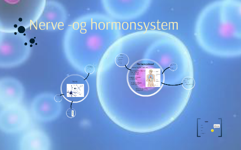 Nerver -og hormonsystemet by Michael Ouren on Prezi