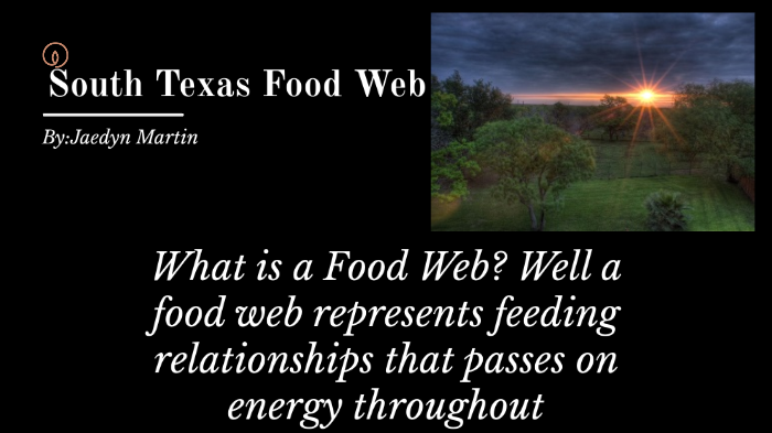 South Texas Food Web by Jaedyn Martin on Prezi
