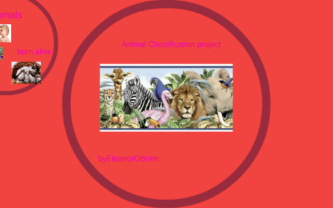 Animal Classification project by Eleanor OBrien on Prezi