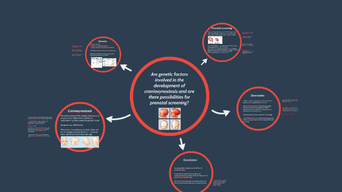 Are genetic factors involved in the development of craniosyn by Mai ...