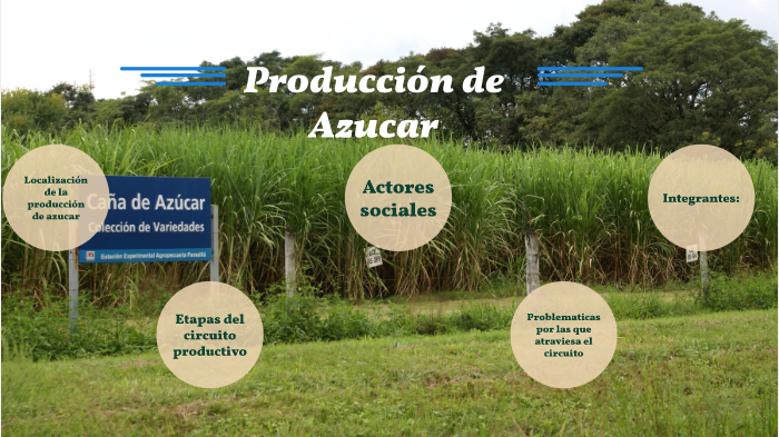 Producción de Azucar by Maty Bernardi on Prezi