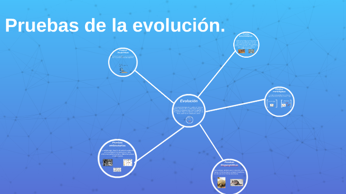 Pruebas de la evolución. by on Prezi