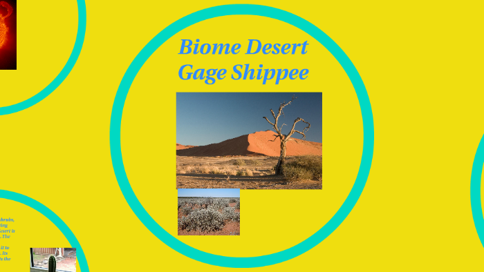 Biome by Gage Shippee on Prezi