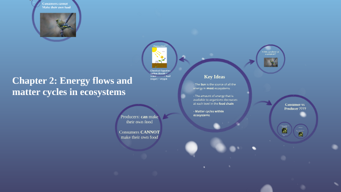 Chapter 2: Energy flows and matter cycles in ecosystems by Jenna Benko ...