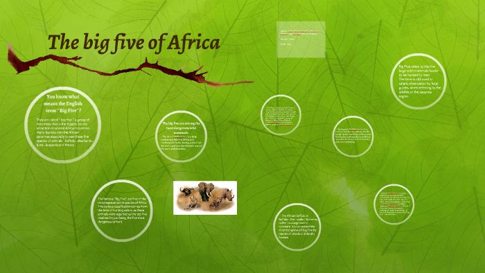 The big five of Africa by Arila Scorzafava on Prezi