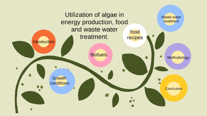 Utilization of algae in energy production, food and waste water ...
