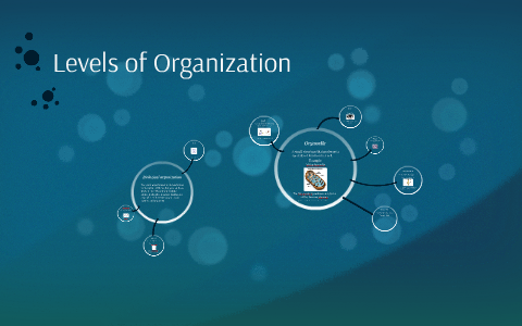 Levels of Organization by Emily Perry on Prezi