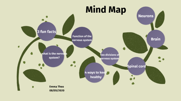 Nervous system mind map Emma by Emma Theo on Prezi