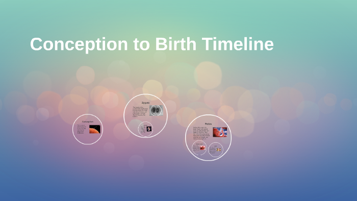 Conception to Birth Timeline by Jordan Gosse on Prezi