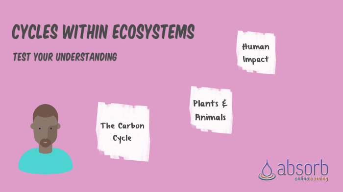 Cycles Within Ecosystems by Absorb Online Learning Geek on Prezi
