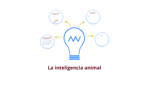 La inteligencia animal- psicología by Sofi Antón on Prezi