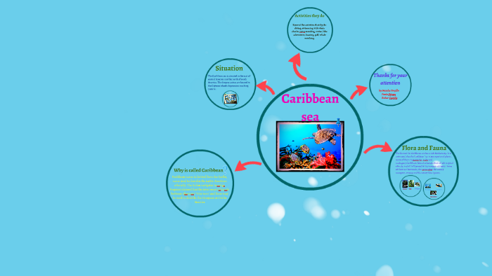 Caribbean by eca caca on Prezi