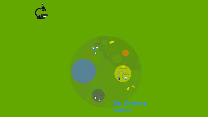 mycoplasm genitalium by Delaney Waters on Prezi