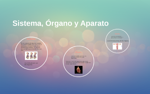 Sistema, Organo y Aparato by Geilyn Romero Cuapio on Prezi