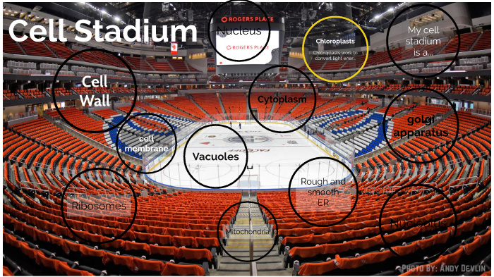 Cell Stadium by John Tmej on Prezi