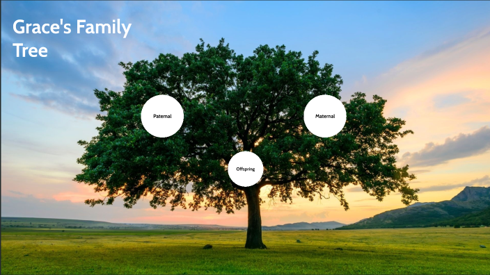 Grace's Family Tree by Grace Wilson on Prezi