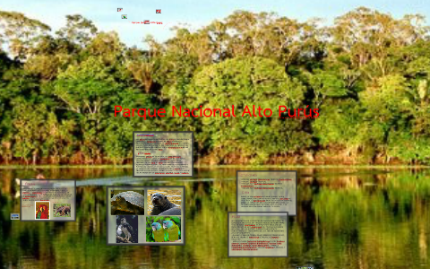 Parque Nacional Alto Purús by malu silva on Prezi