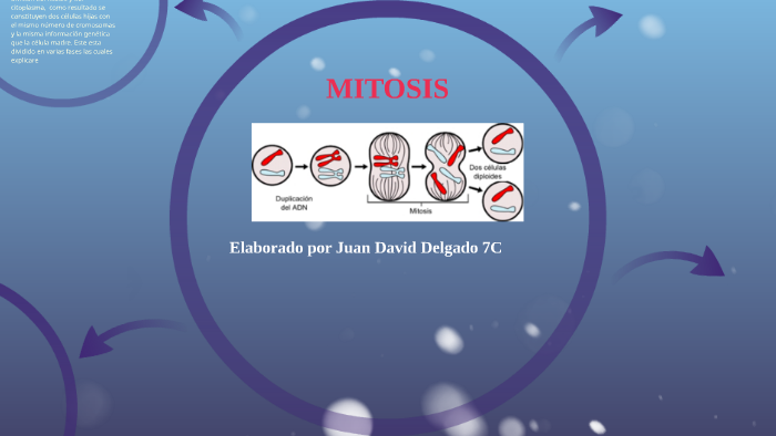 CSC Juan David Delgado 7c Mitosis by on Prezi