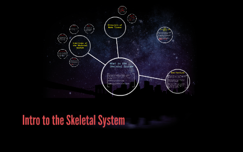 Intro to the Skeletal System by James Adams on Prezi