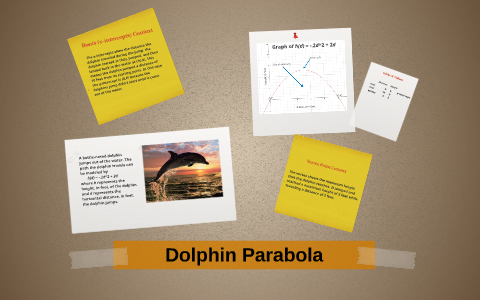 Dolphin Parabola by Diane Holly on Prezi