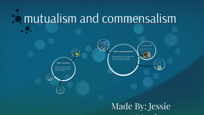 What is Mutuation? by jesenia martinez on Prezi