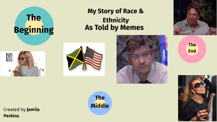 A story of Race and Ethnicity Told Entirely with Memes by Jamila ...