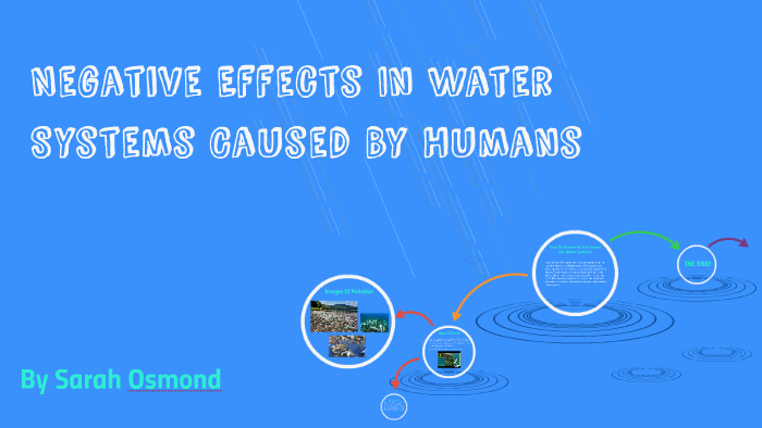 Negative Effects In Water Systems Caused By Humans by Sarah Osmond