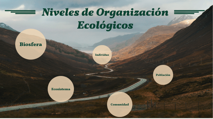Niveles de Organización Ecológicos by Micaela Espinosa on Prezi