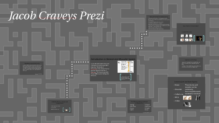 Human Skeletal and Muscular System by Jacob Cravey on Prezi
