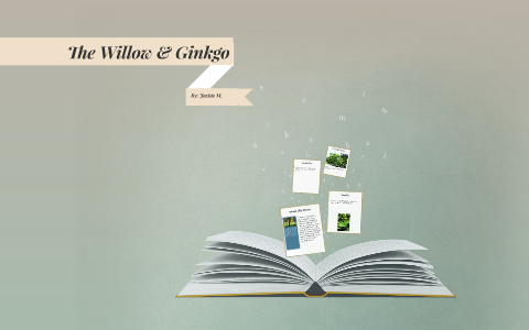 Willow & Ginkgo by Jackie M. on Prezi