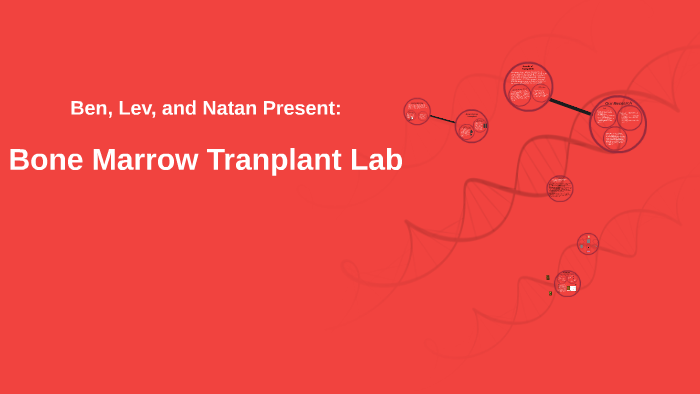 Bone Marrow Transplant by Ben Blaustein on Prezi