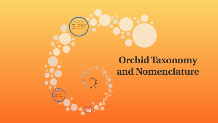 Orchid Taxonomy and Nomenclature by Julie Rotramel on Prezi